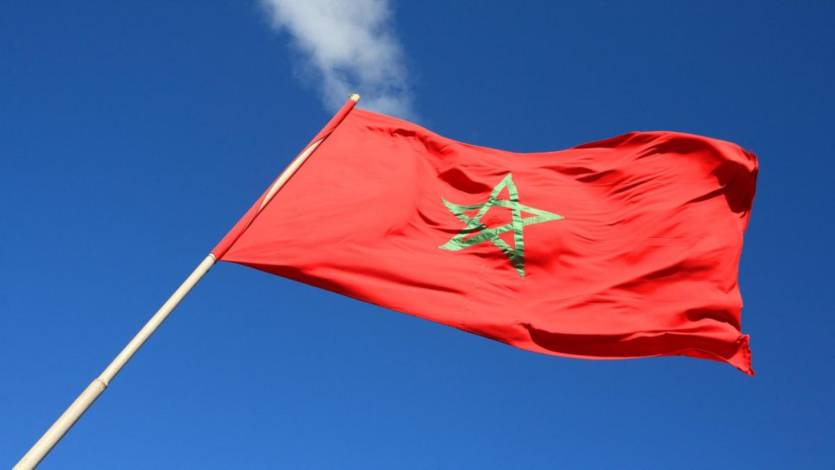 FIFA WCQ Playoffs: Morocco’s Jalal Jayed to officiate Nigeria vs DR ...